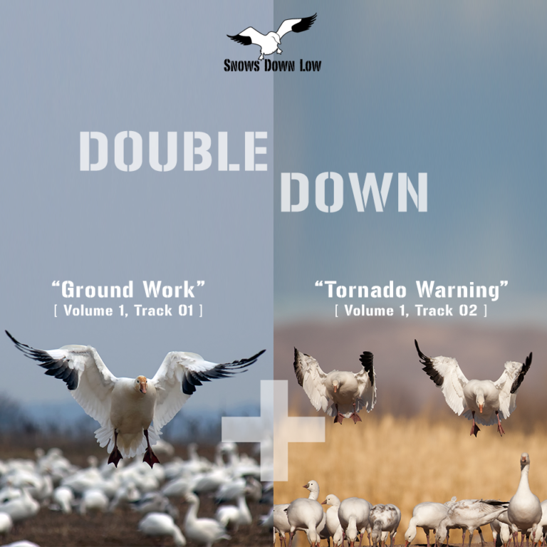 DoubleDown - Dual Snow Goose E-Caller Sounds - Snows Down Low